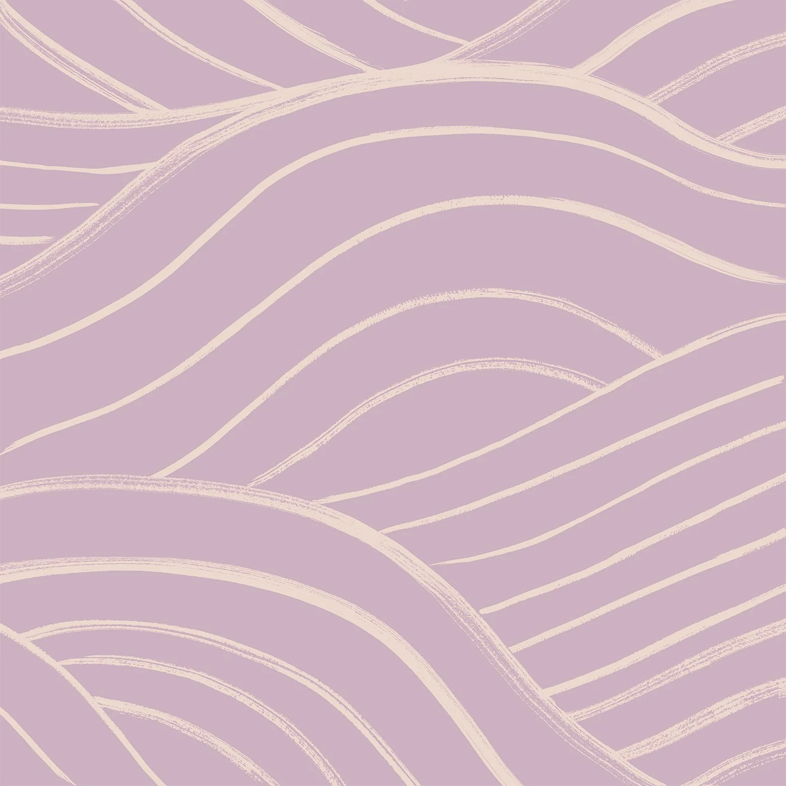 Like a Dream Collection — Kayla Reilly