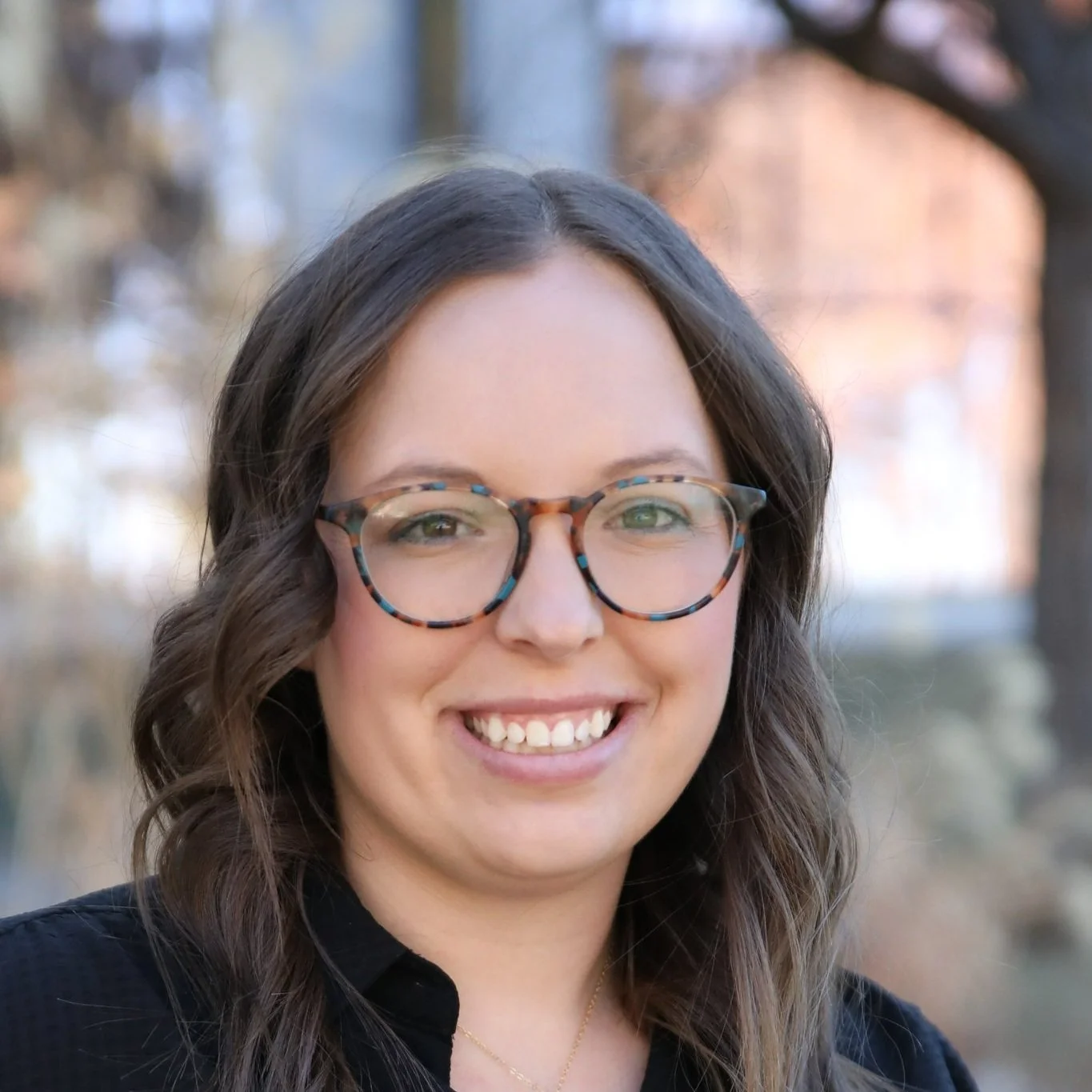 Meet The Baird Team — The Baird Group with lpt Realty