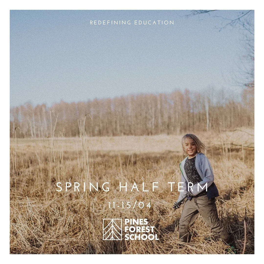 Upcoming — Pines Forest school