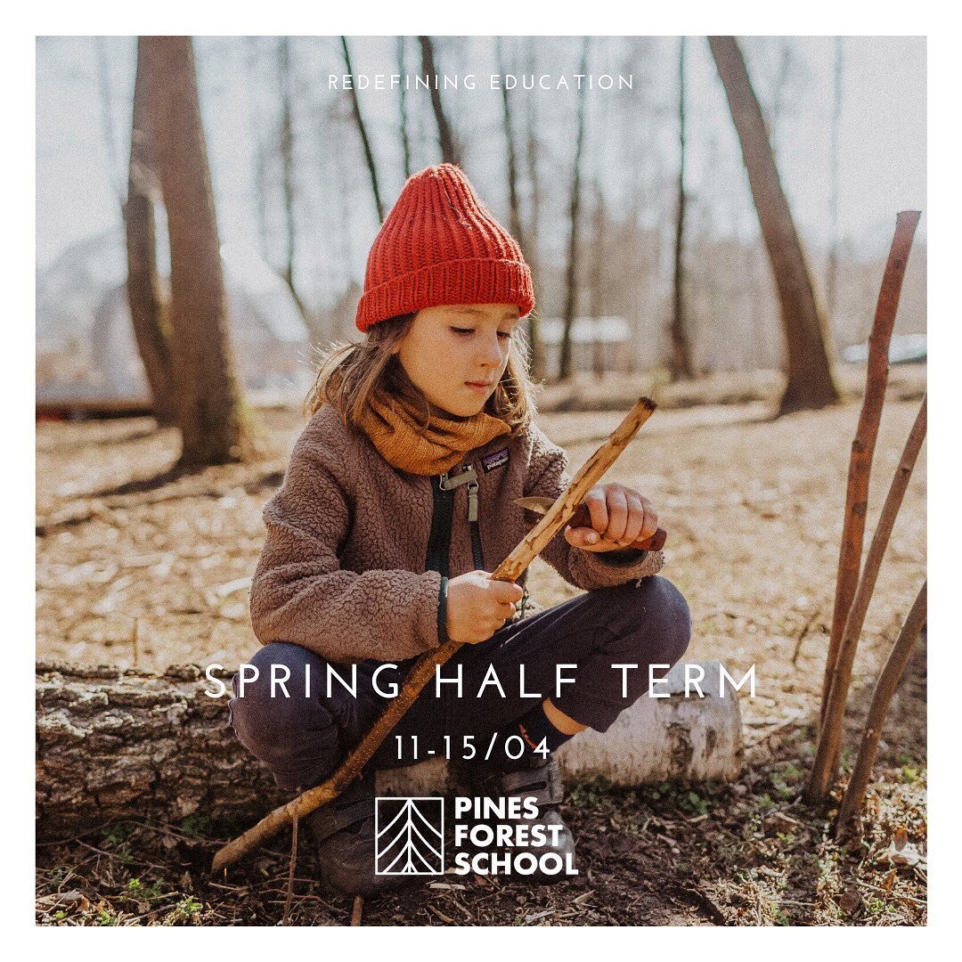 Upcoming — Pines Forest school