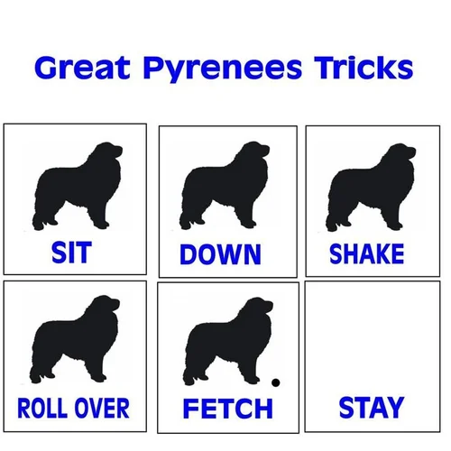 Great Pyrenees: Is this a good farm dog for keeping stray dogs and ...