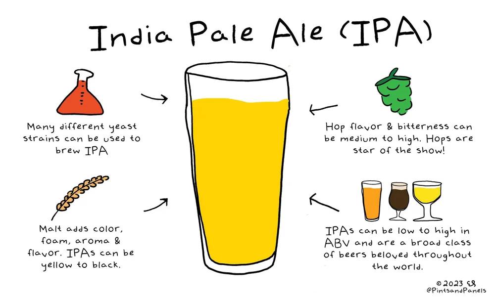 Beer 101- What is an IPA? — Pints and Panels