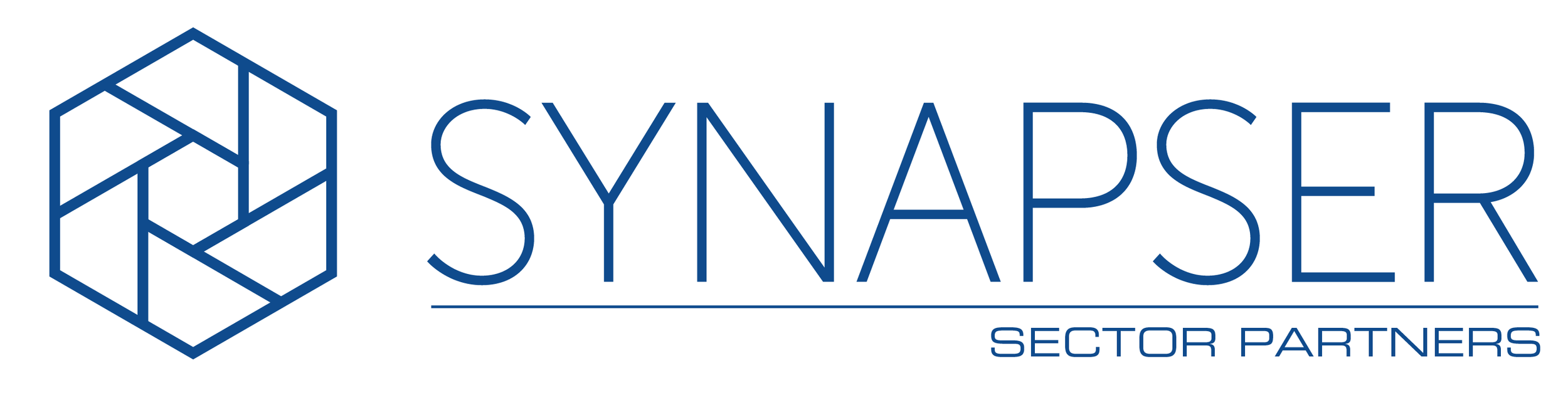 Partners — Synapser