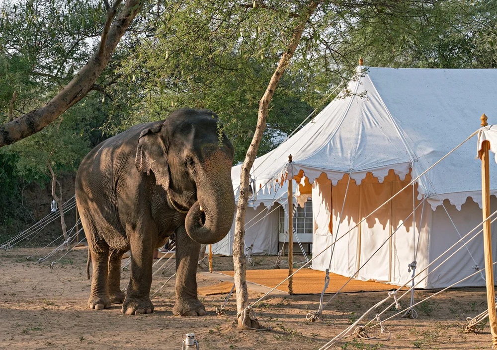 Retreat - Backpacking — Tikka Tours