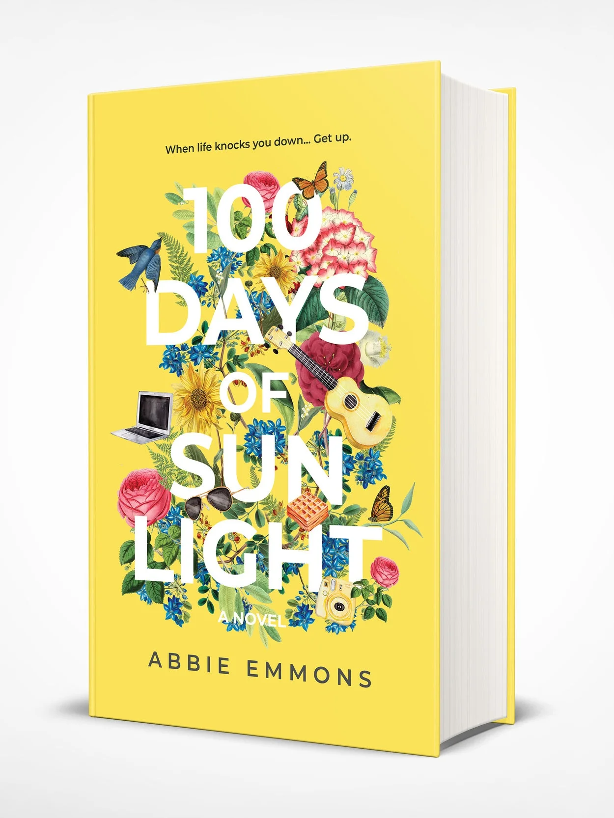 About the book — 100 Days of Sunlight