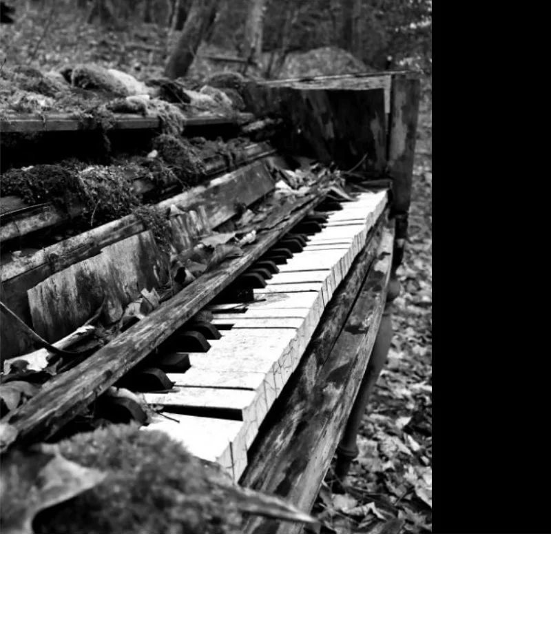 Upcoming Events — The Hambidge Center