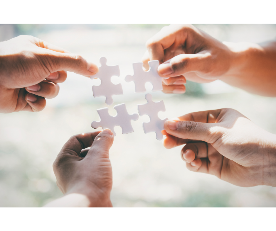 PARTNER — Project SAGE