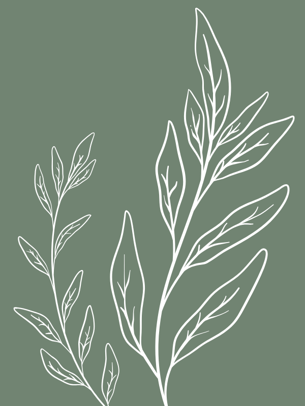 Project SAGE Staff — Project SAGE