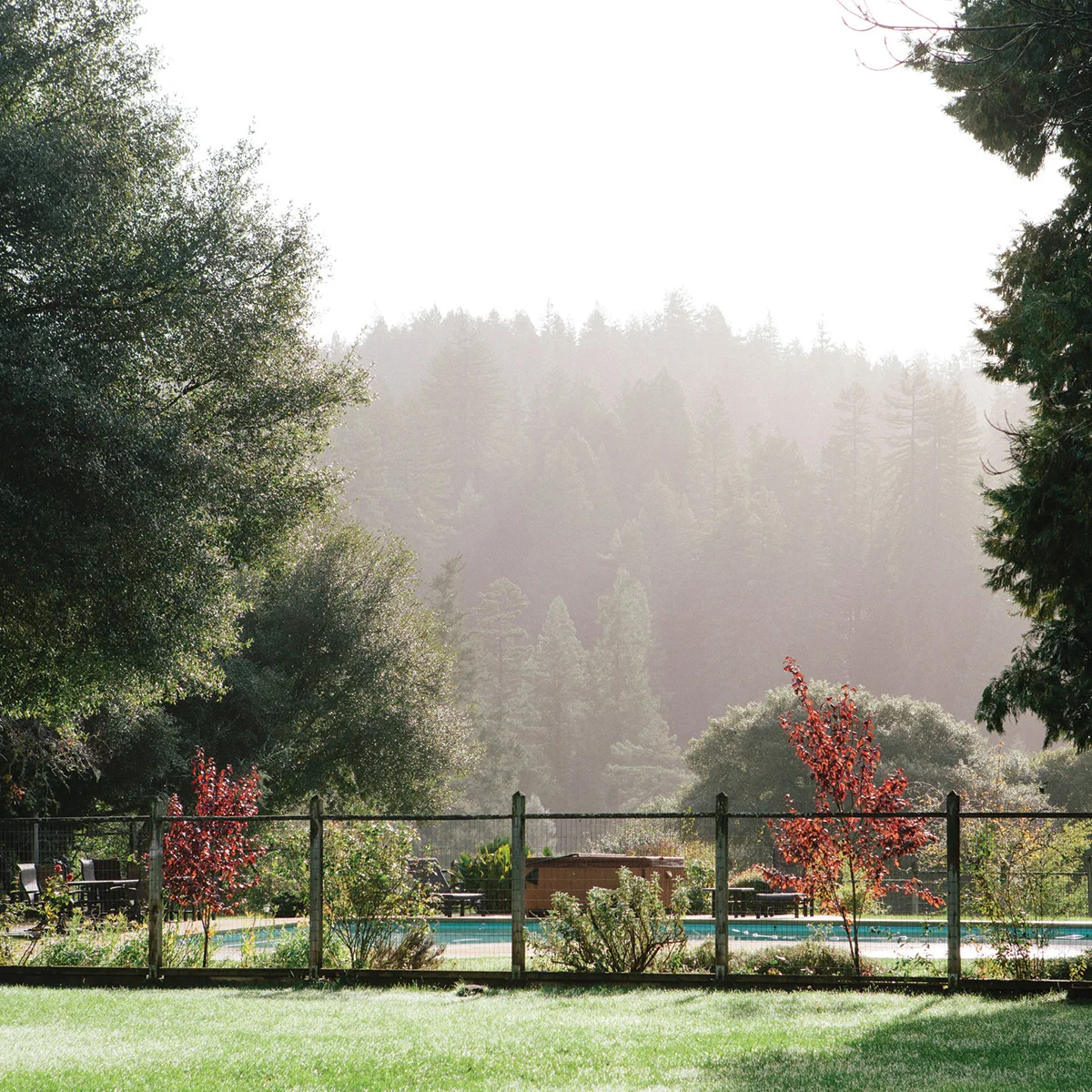 The Land - Meditation Retreat Center Northern California