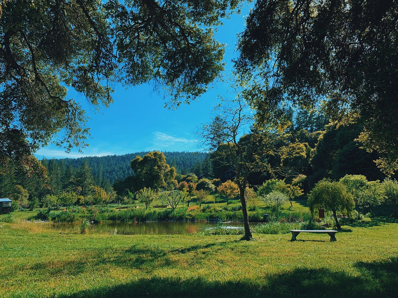 The Land - Retreat Center California