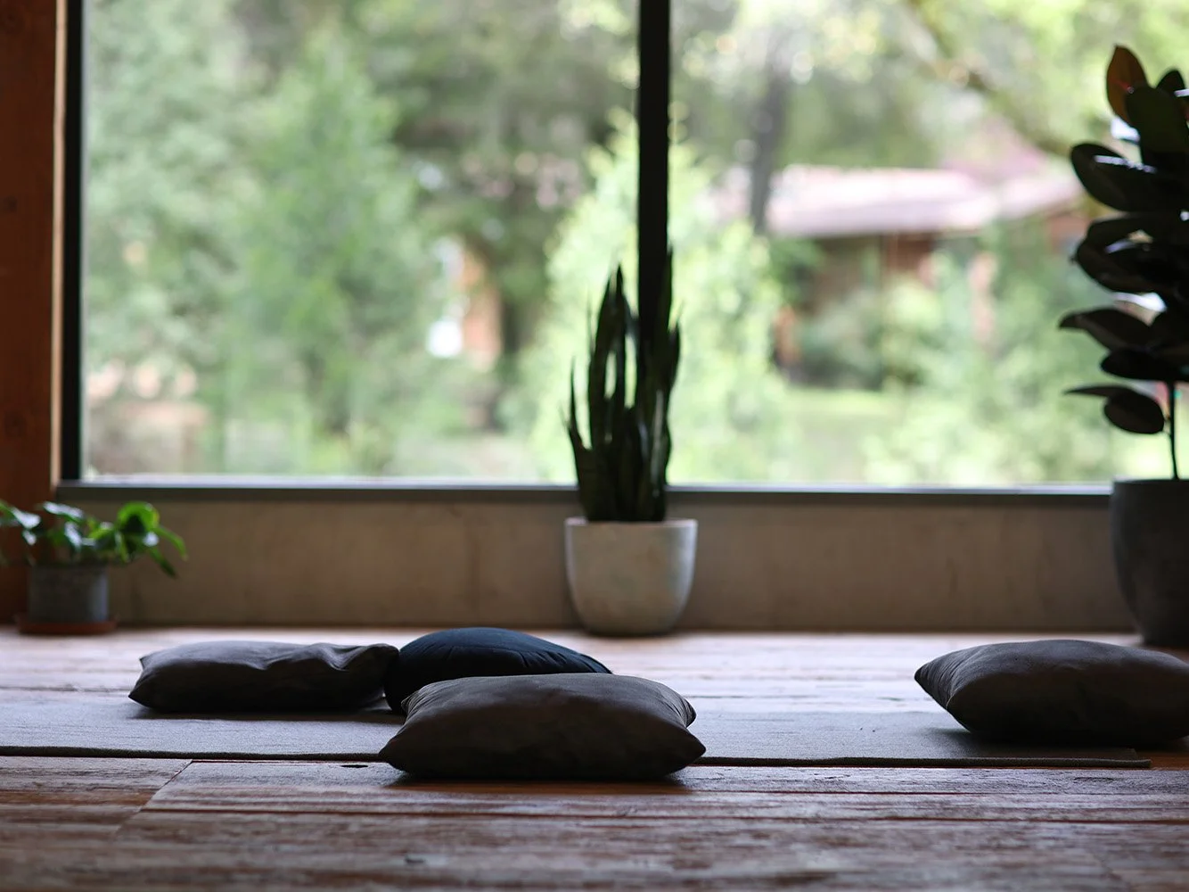 The Land - Meditation Retreat Center Northern California