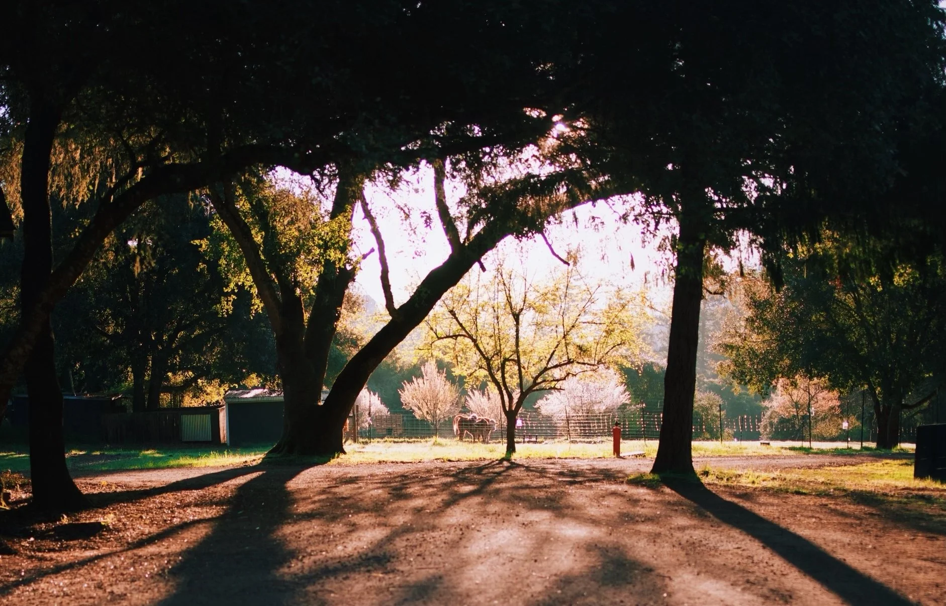 The Land - Meditation Retreat Center Northern California