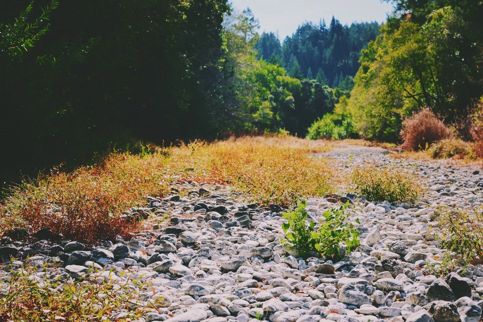 The Land - Meditation Retreat Center Northern California