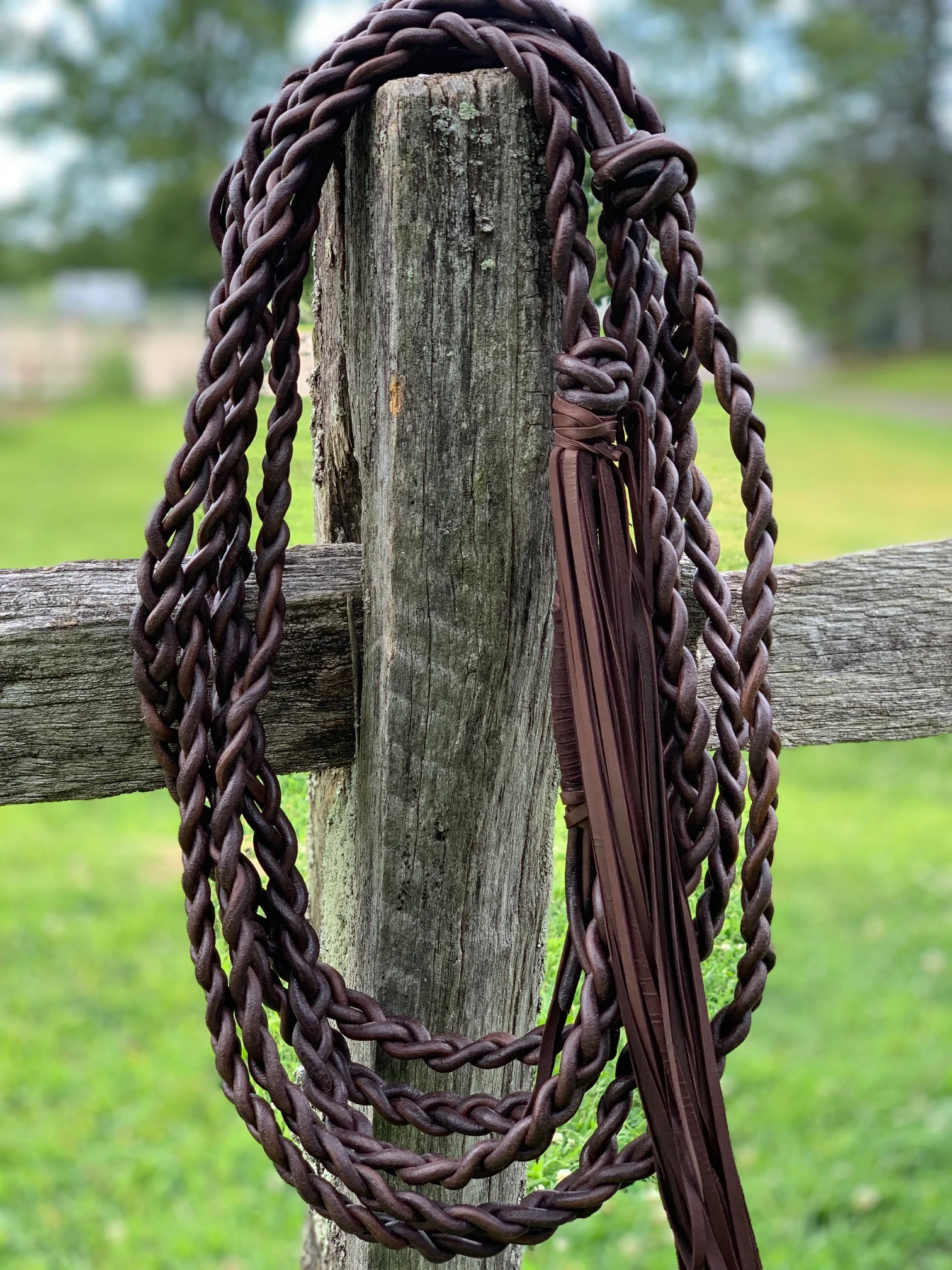 "Braided Leather Line" by Leather Horseman — Leather Horseman's Halter