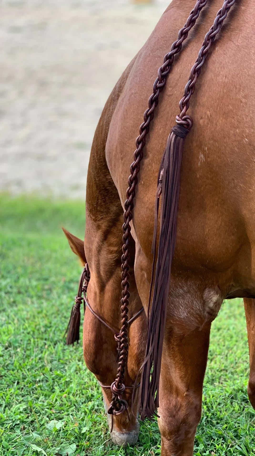 "Double Infinity" Leather Line 8' - 18' — Leather Horseman's Halter