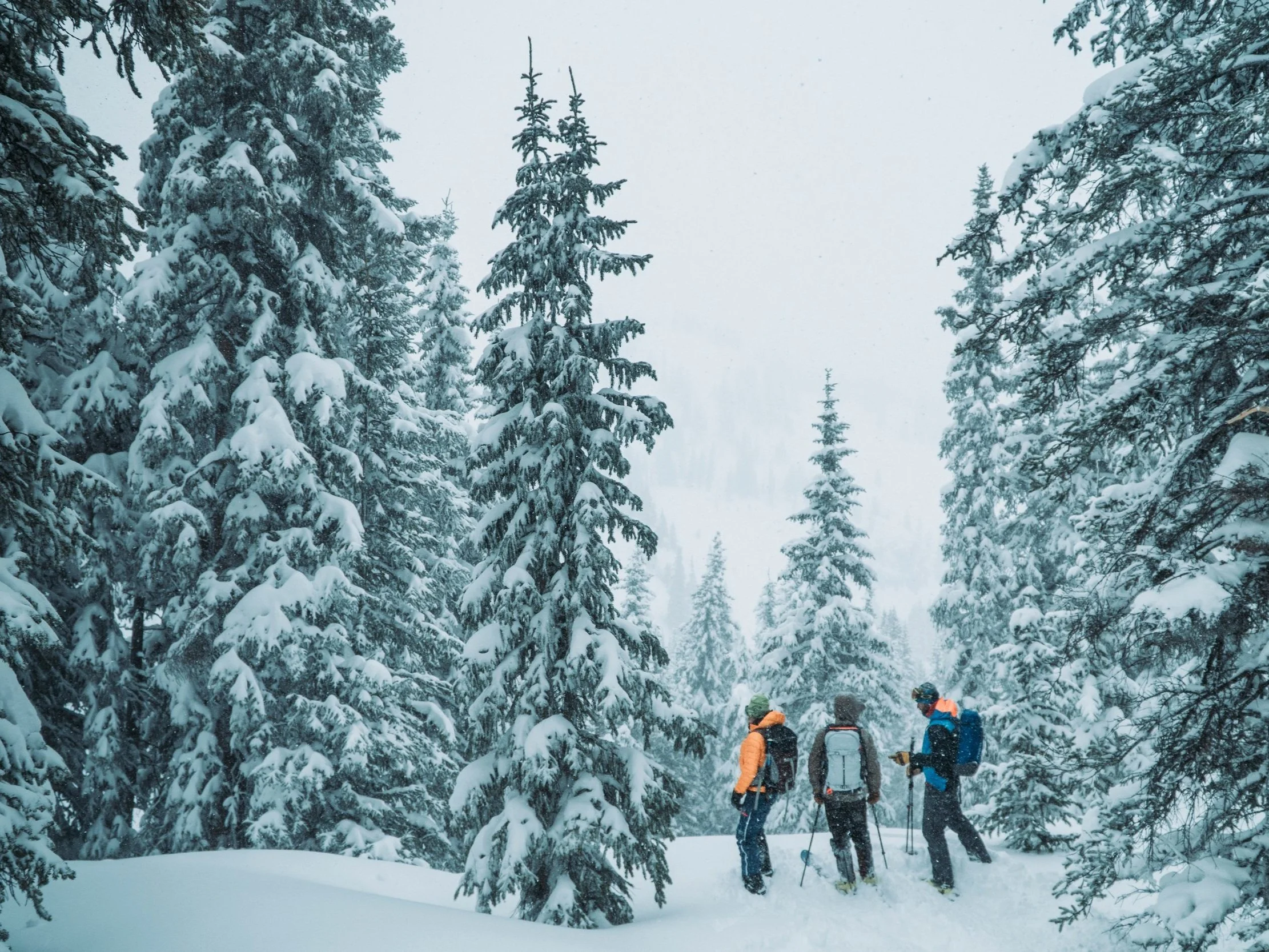 Campfire Ranch Blog | Camping & Backcountry Huts in Colorado