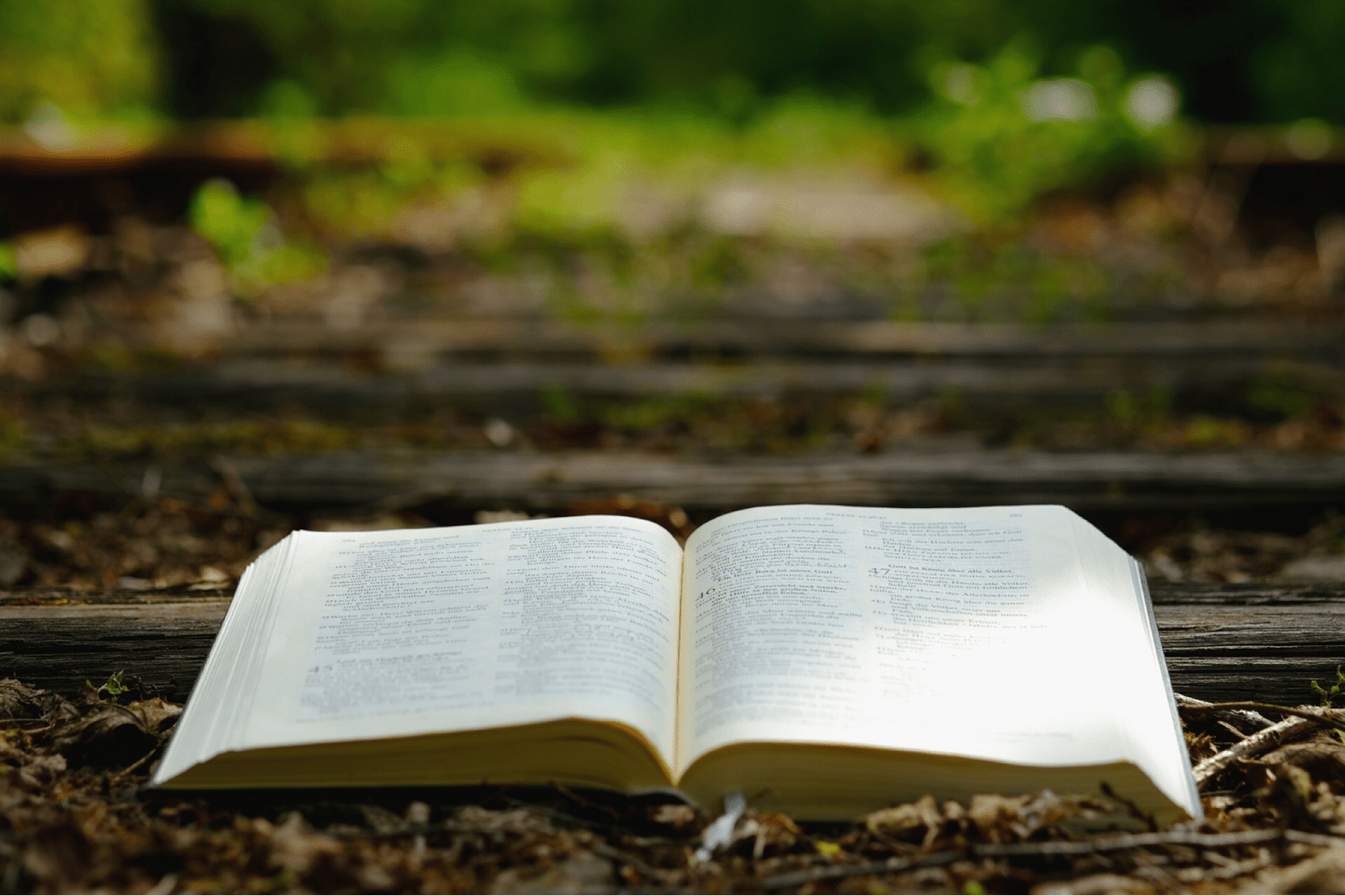 Evergreen Classical School