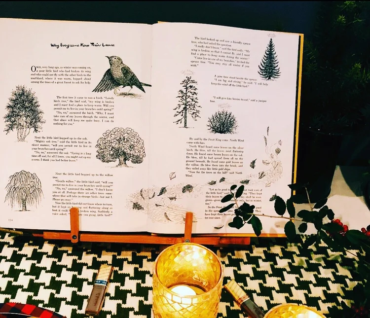 Evergreen Overview — Evergreen Classical School