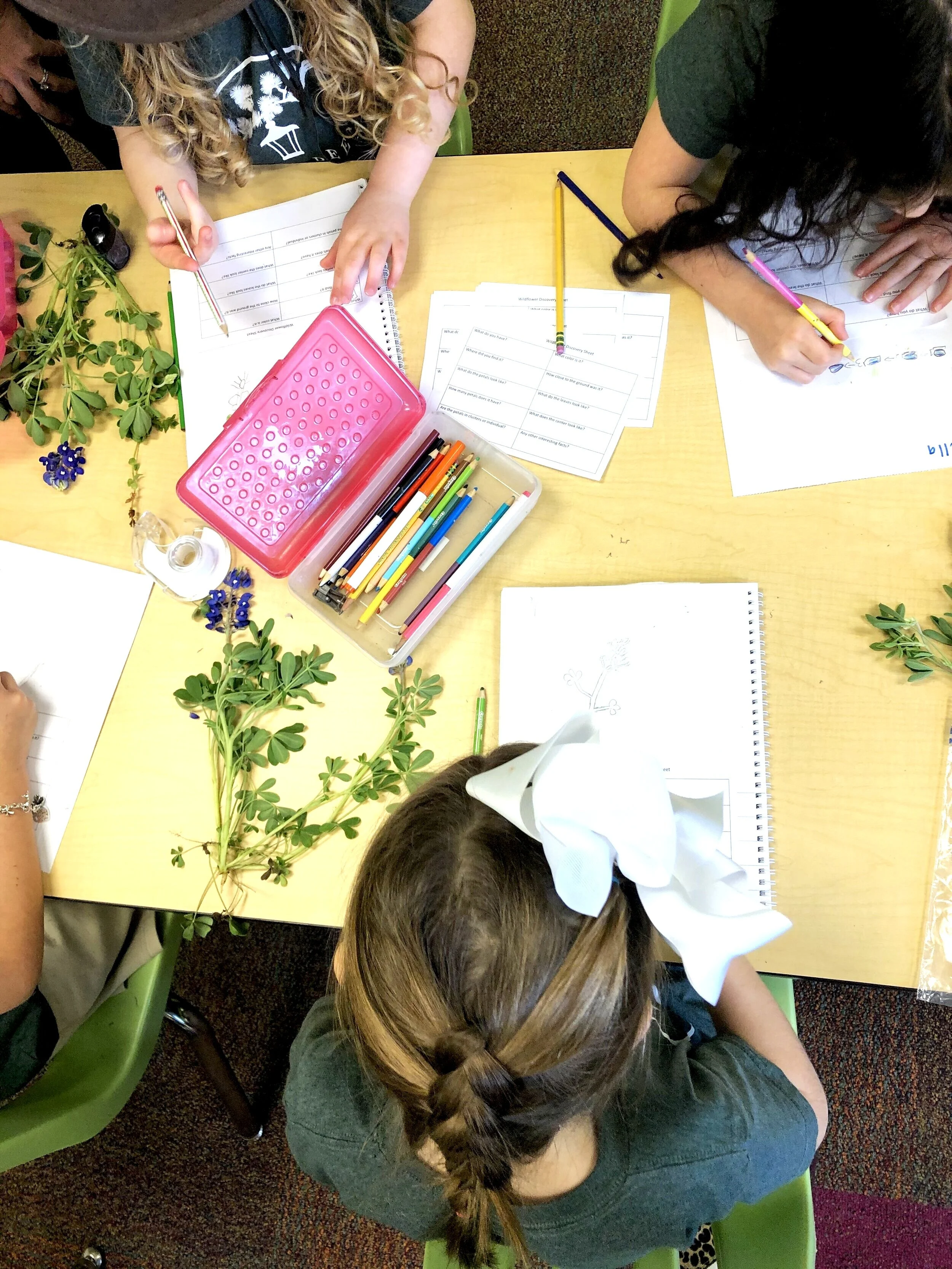 Collaborative — Evergreen Classical School