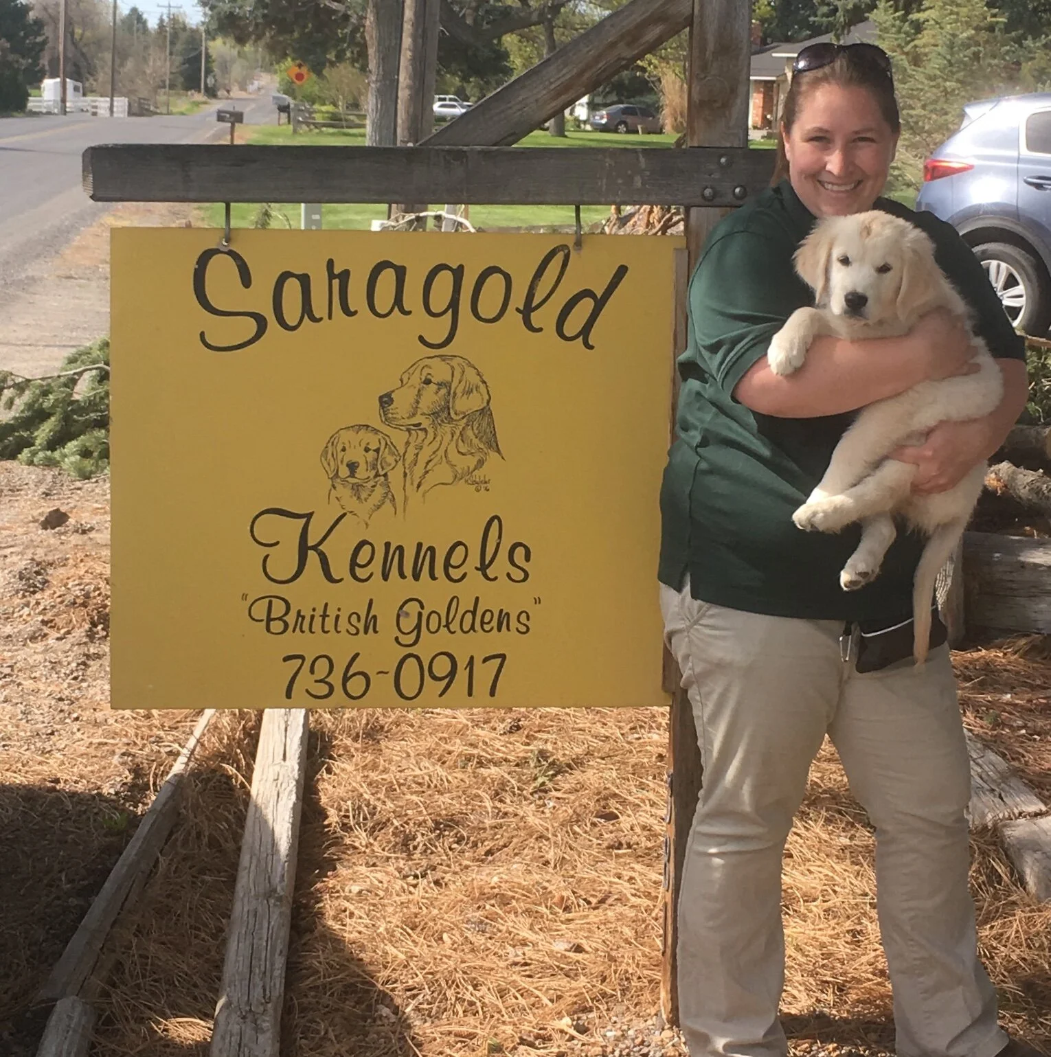 Training — Saragold Kennels