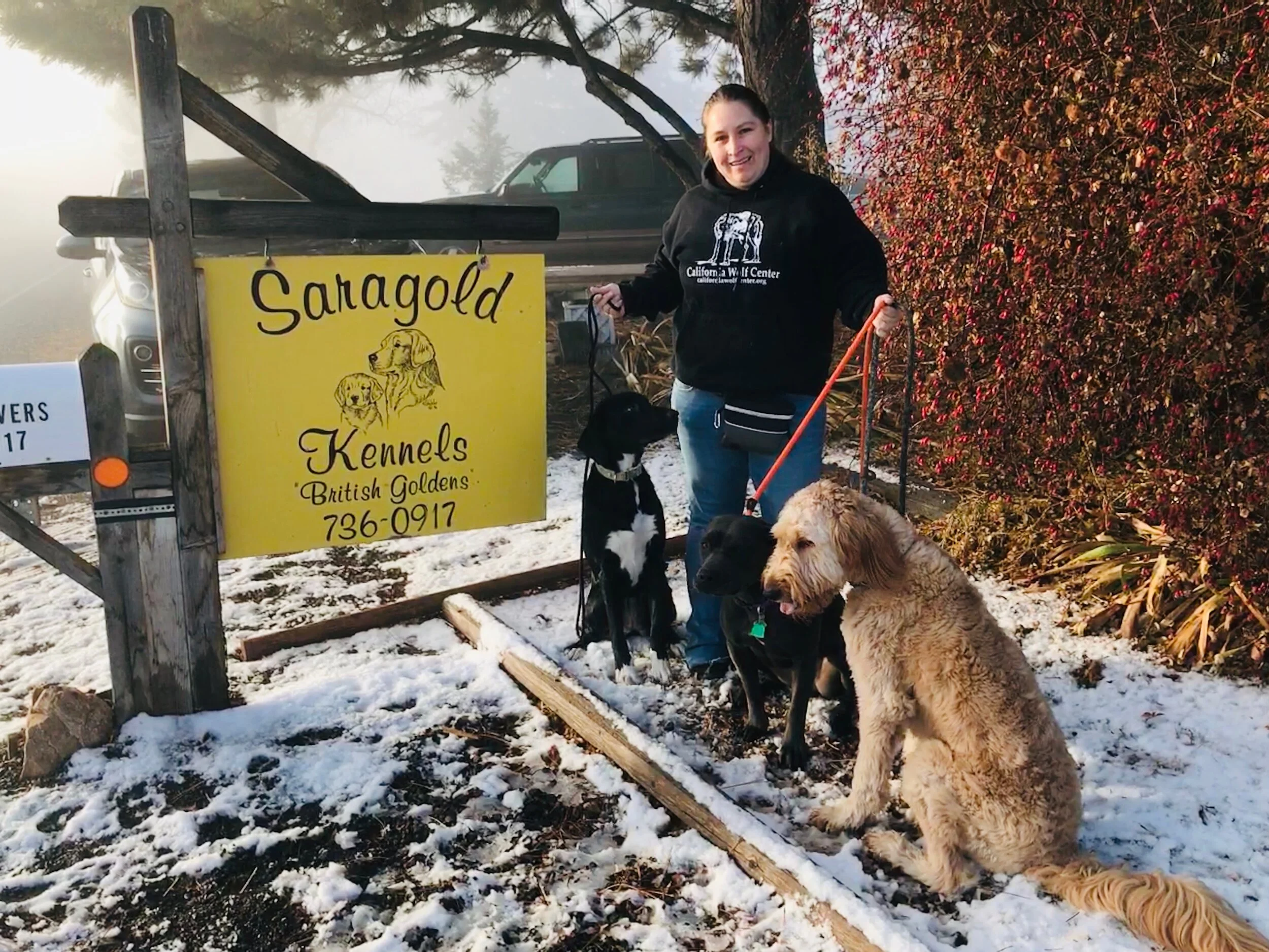 Training — Saragold Kennels