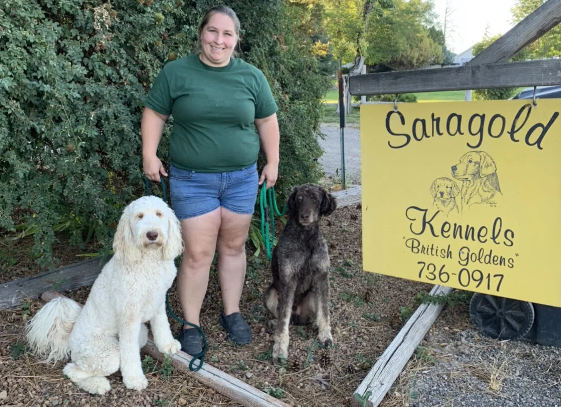 Training — Saragold Kennels