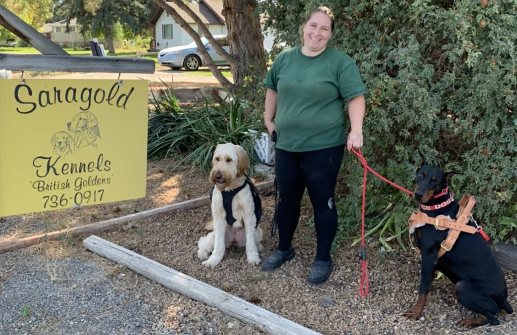 Pet & Service Dog Training — Saragold Kennels