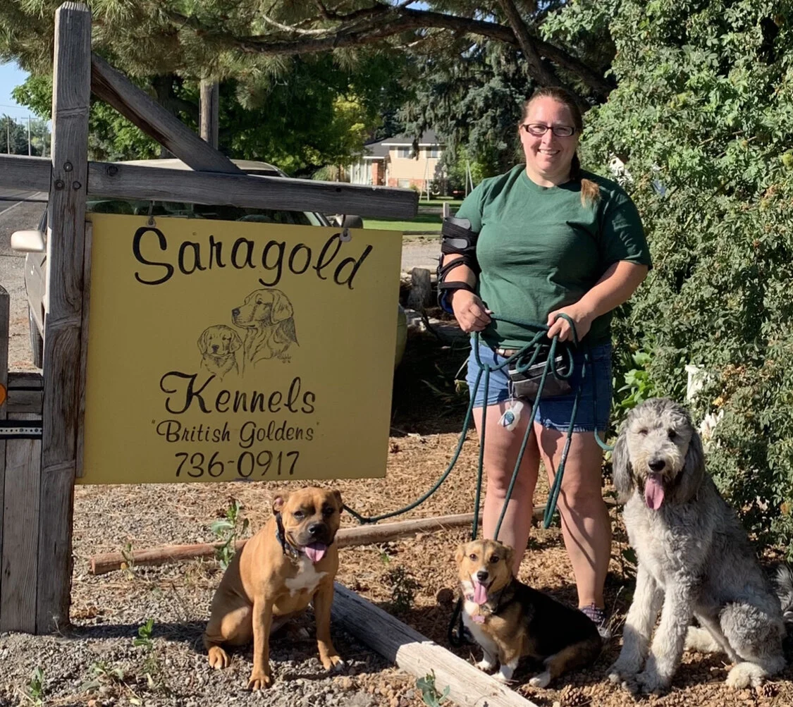 Pet & Service Dog Training — Saragold Kennels