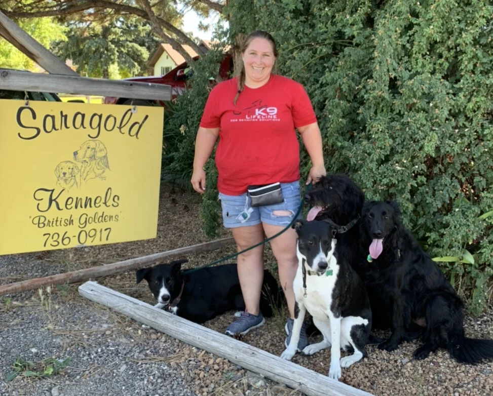 Pet & Service Dog Training — Saragold Kennels
