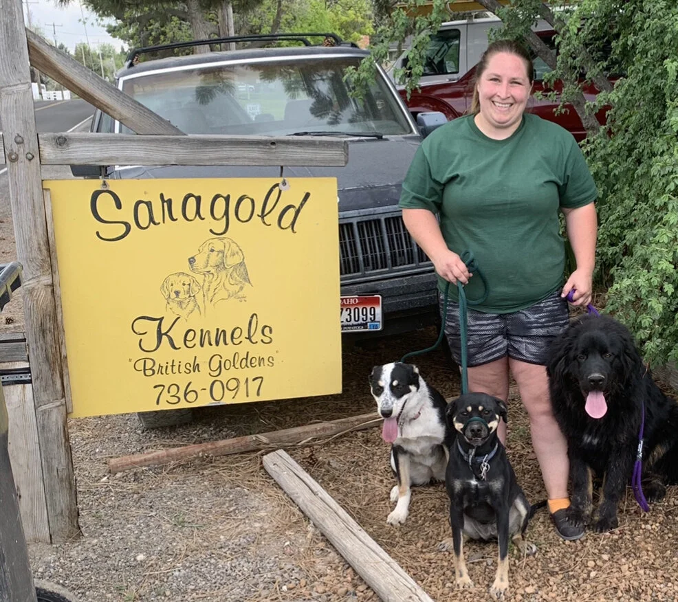 Pet & Service Dog Training — Saragold Kennels