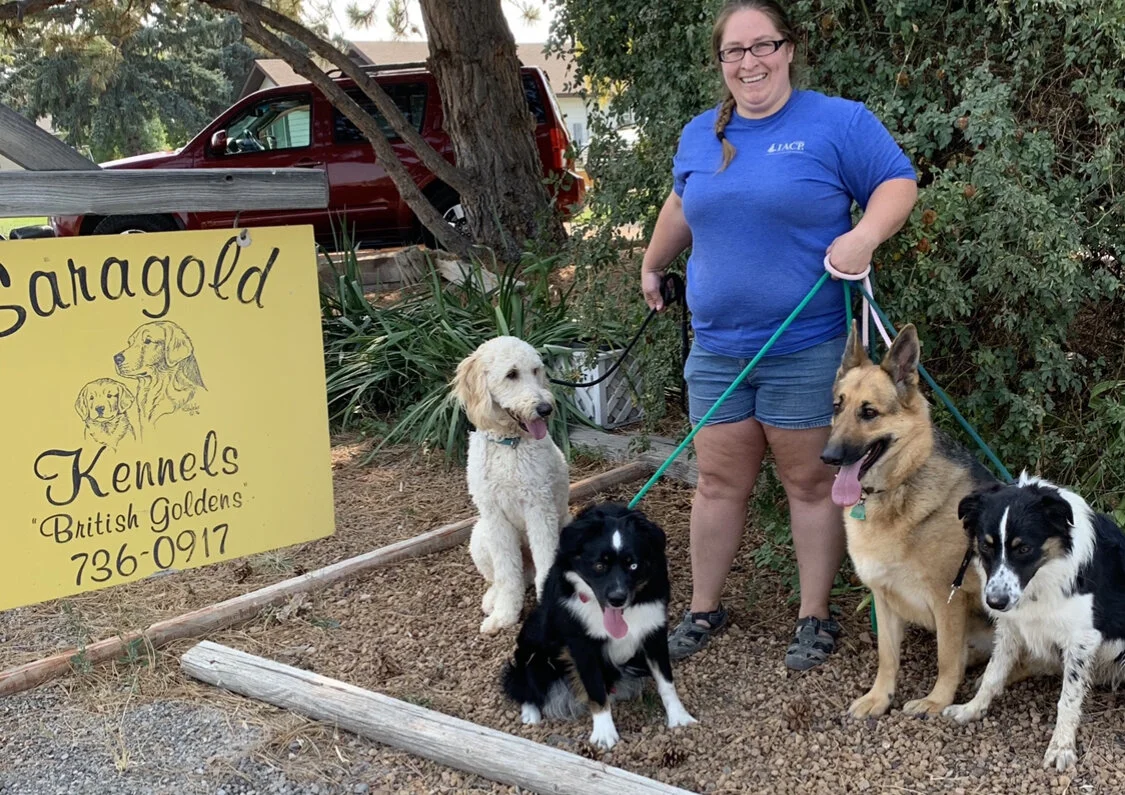 Pet & Service Dog Training — Saragold Kennels