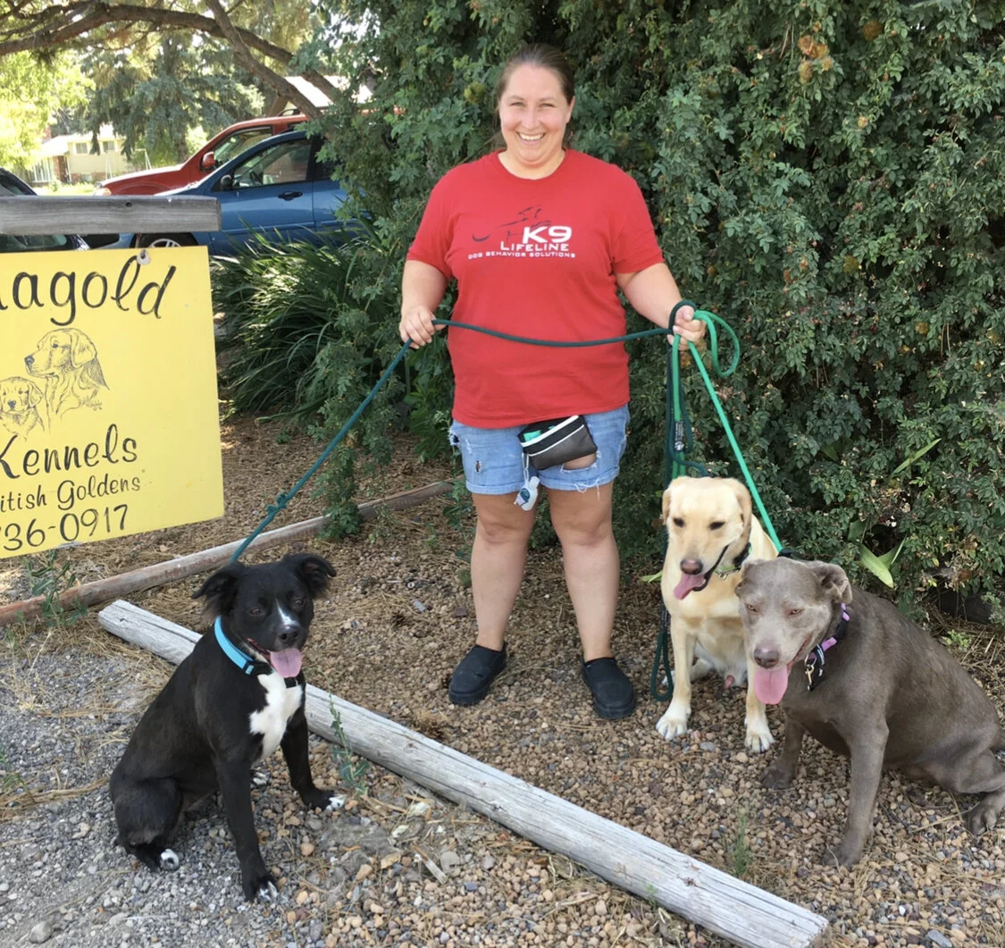 Pet & Service Dog Training — Saragold Kennels
