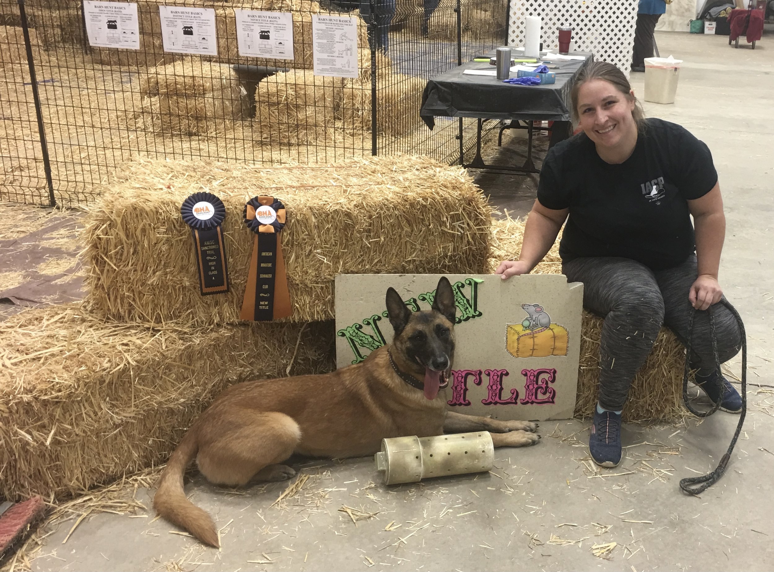 Sara Gold Kennels Twin Falls Idaho at Sherman Cleveland blog