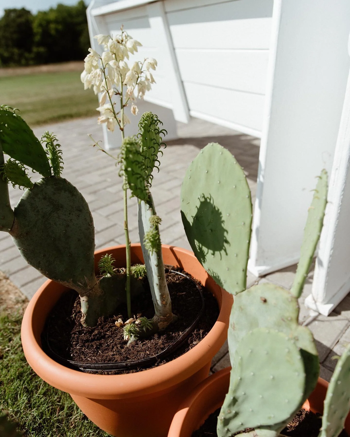 Hannah Kate Photography