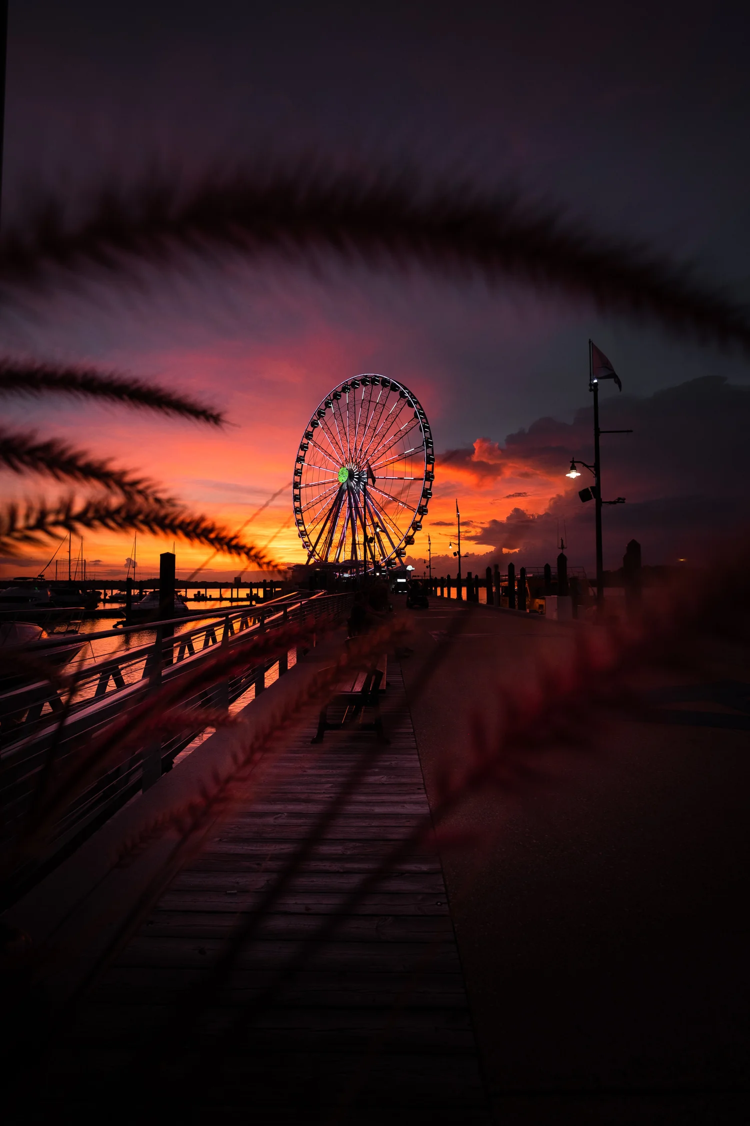Steven Schulz - Photographer & Content Creator