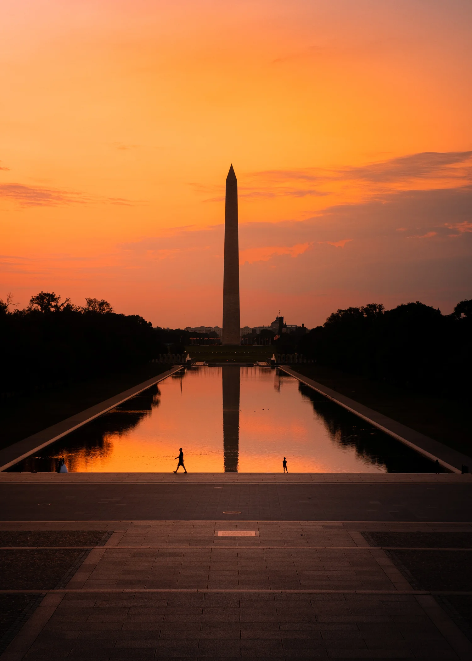 Steven Schulz - Photographer & Content Creator