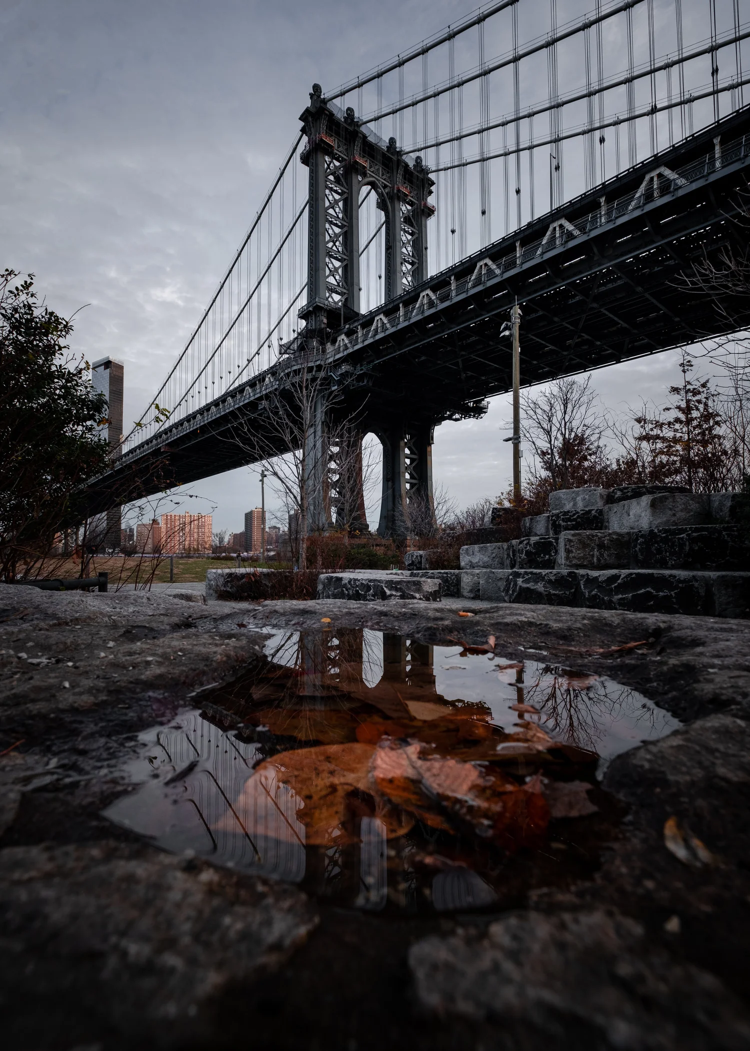 Steven Schulz - Photographer & Content Creator