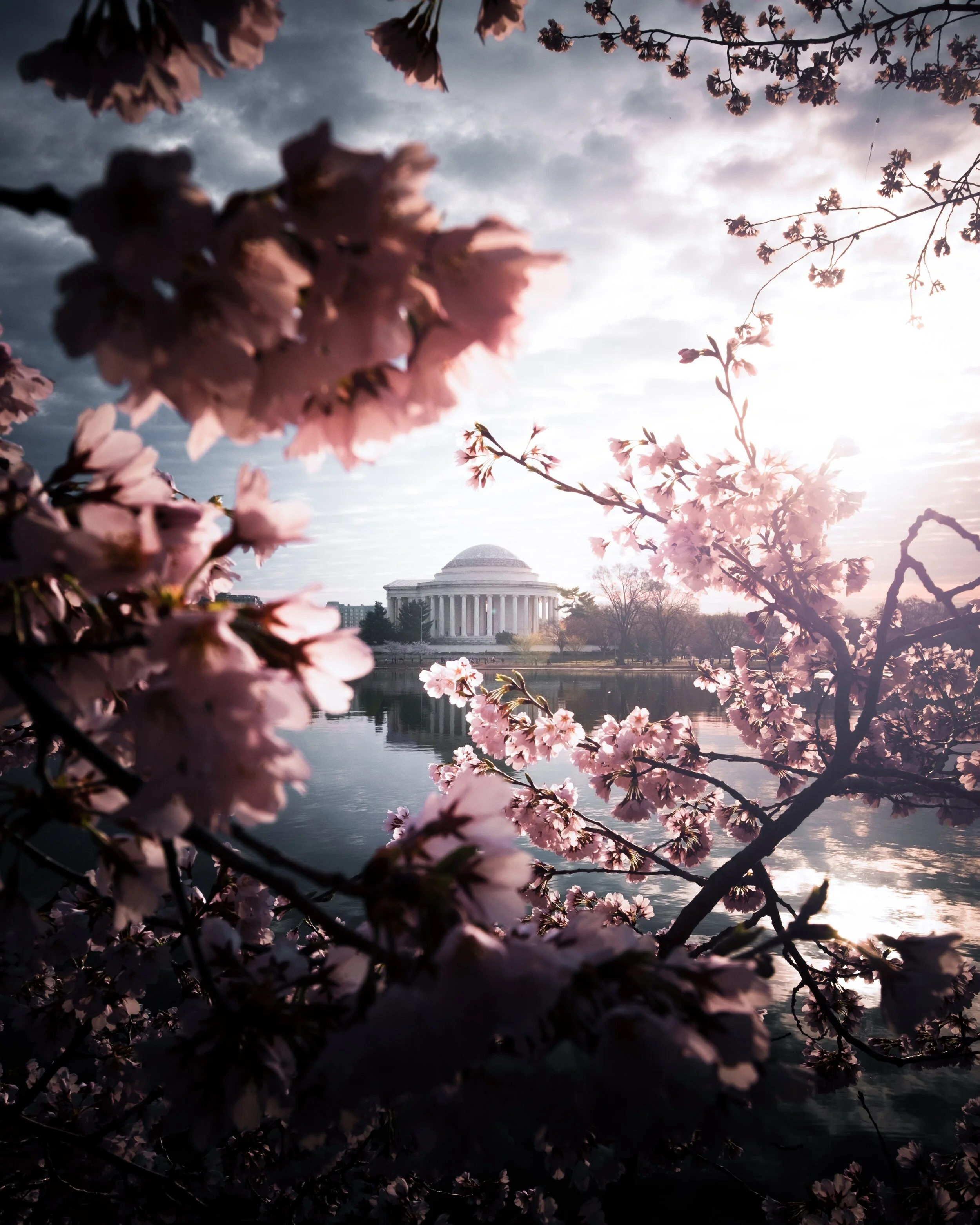 Steven Schulz - Photographer & Content Creator