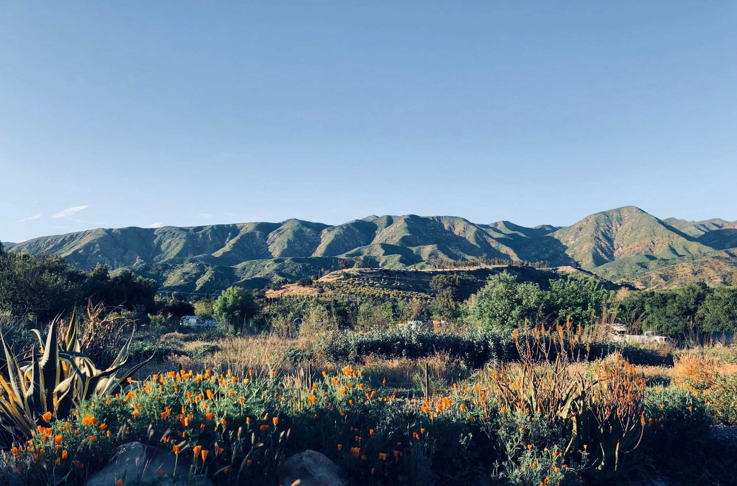 Gallery — The Ojai Ranch