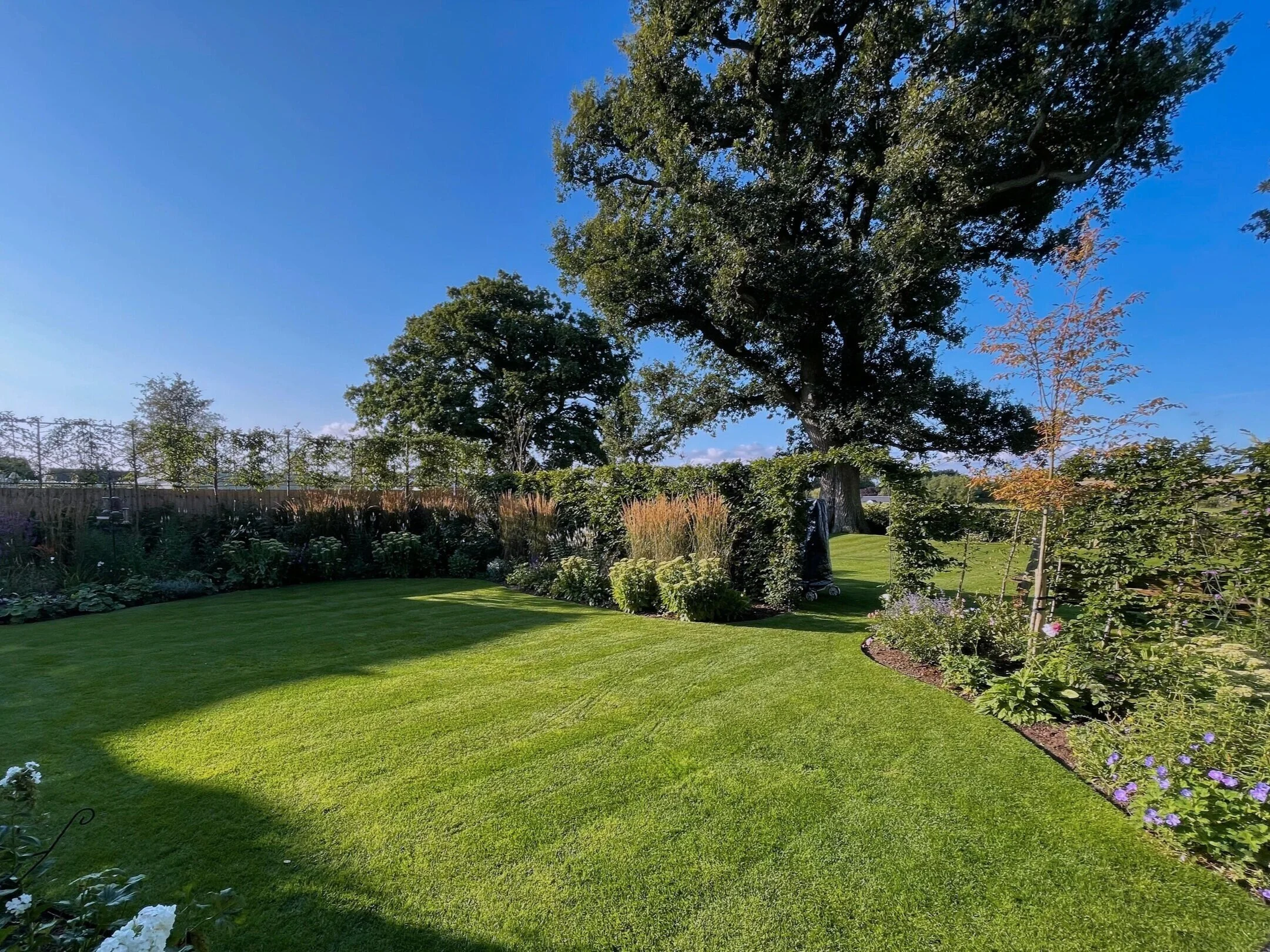 Andrew Nott Education Consultancy