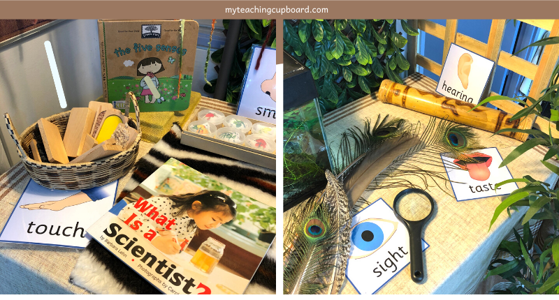 Investigation Area Ideas for the Start of School — My Teaching Cupboard