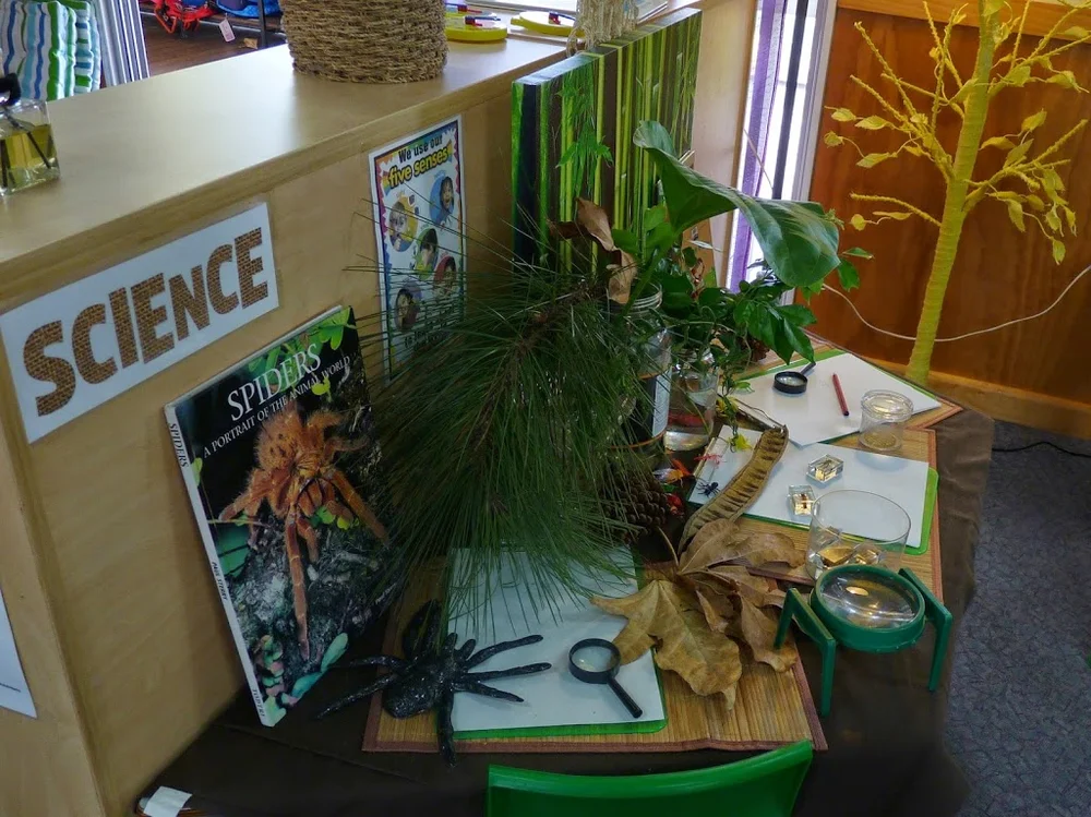 Living Things Provocation — My Teaching Cupboard
