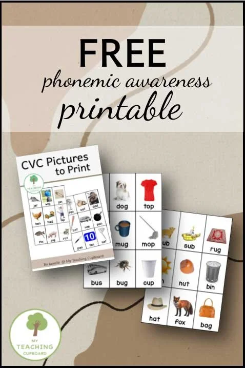 Phonemic Awareness Game - Cross the River — My Teaching Cupboard