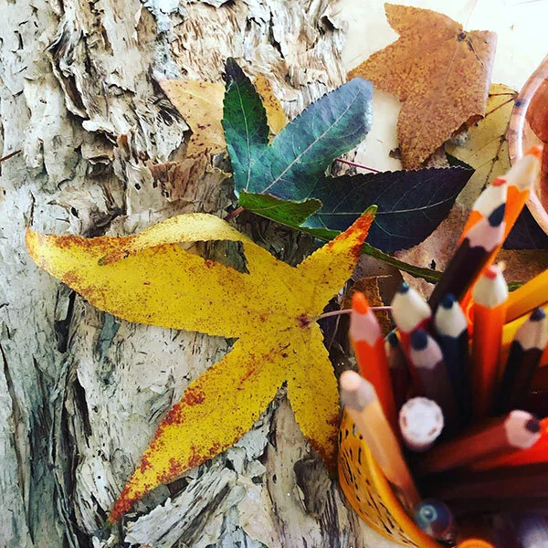 What is a Learning Provocation? — My Teaching Cupboard