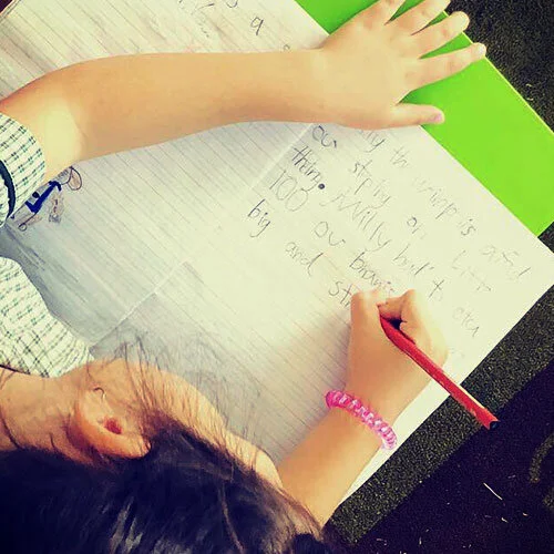 Walker Learning Reporter Role — My Teaching Cupboard