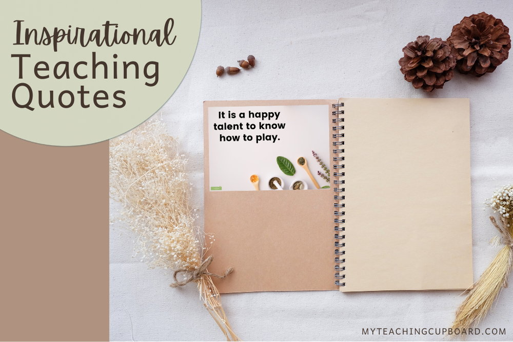 Inspiring Preschool Classroom Quotes for Teachers — My Teaching Cupboard