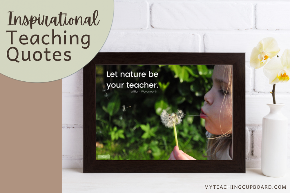 72 Inspirational Learning Through Play Quotes — My Teaching Cupboard