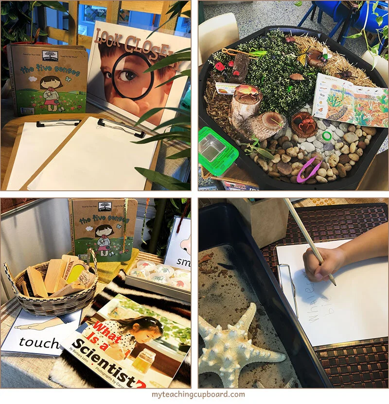 Why Teach Science in Early Childhood — My Teaching Cupboard