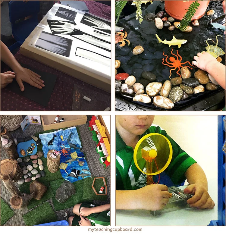 Why Teach Science in Early Childhood — My Teaching Cupboard