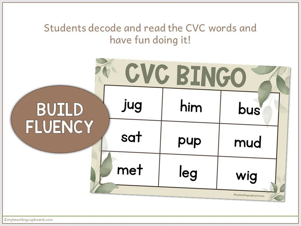 CVC Words Bingo Game — My Teaching Cupboard